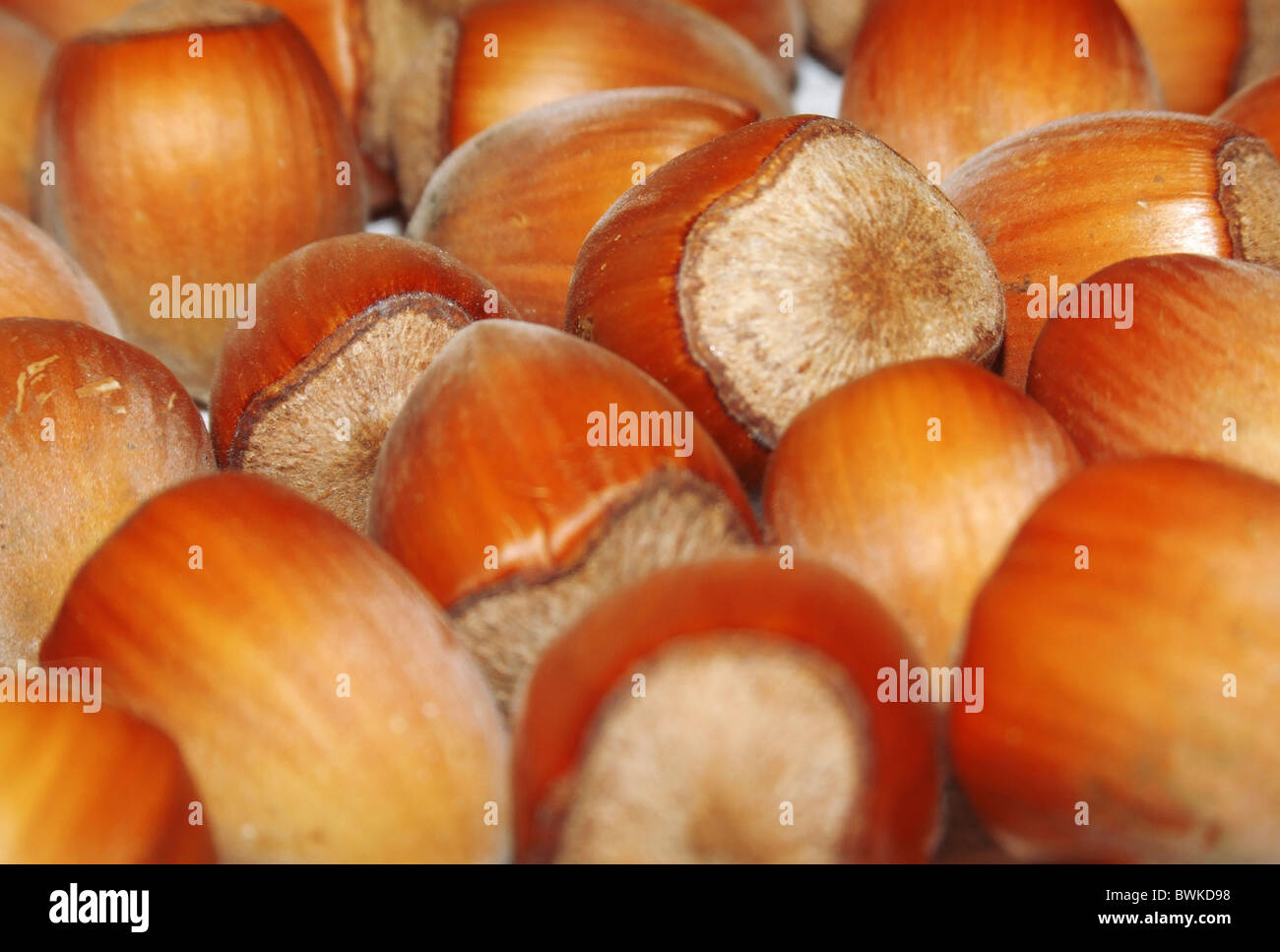 hazelnuts nuts eating food healthy Stock Photo - Alamy