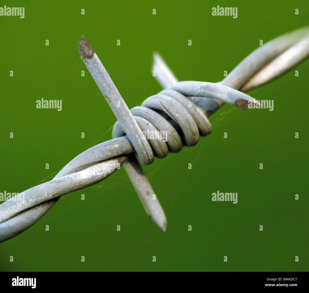 10824087 hi-res stock photography and images - Alamy