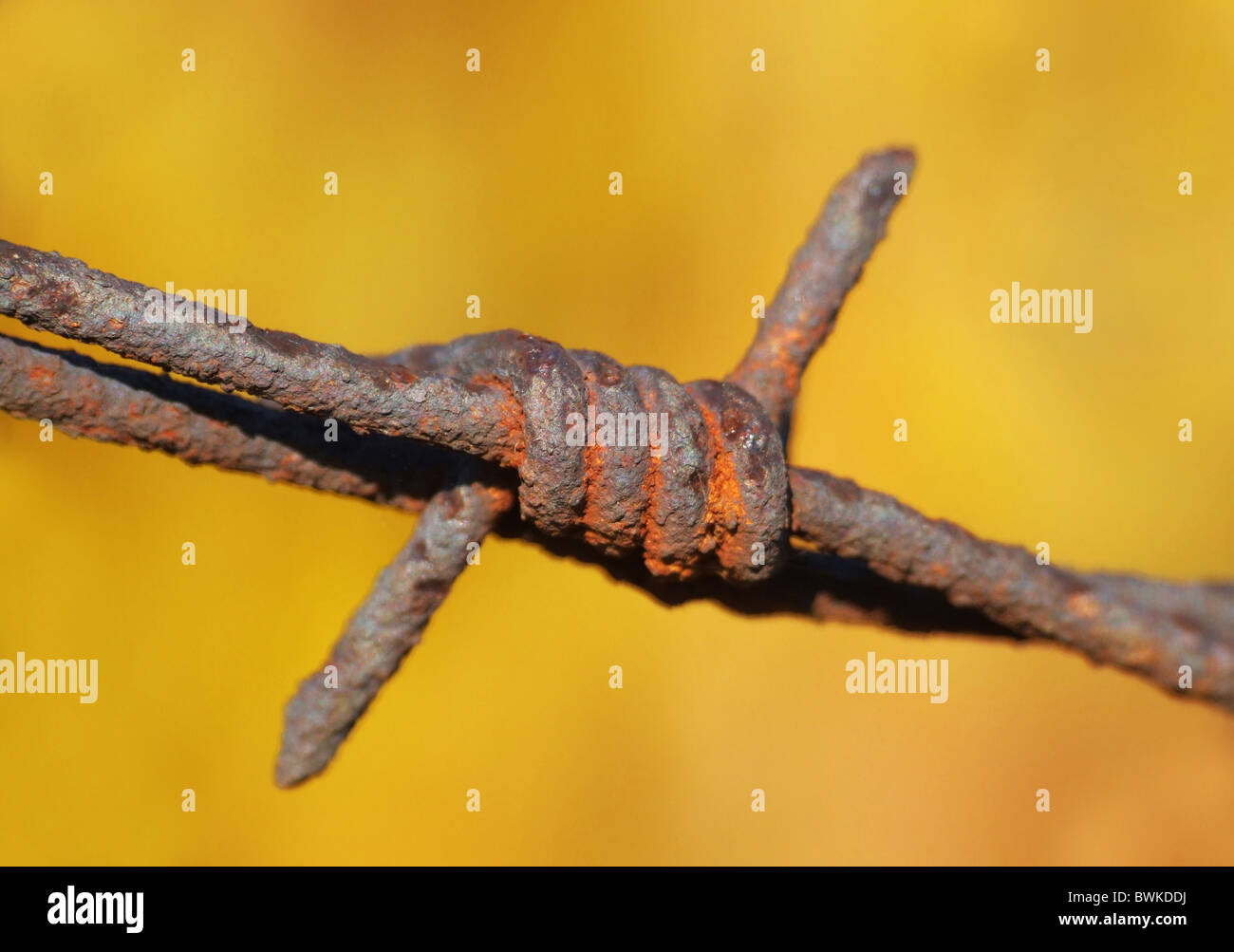 sting wire detail stings wire rust rusting Stock Photo - Alamy