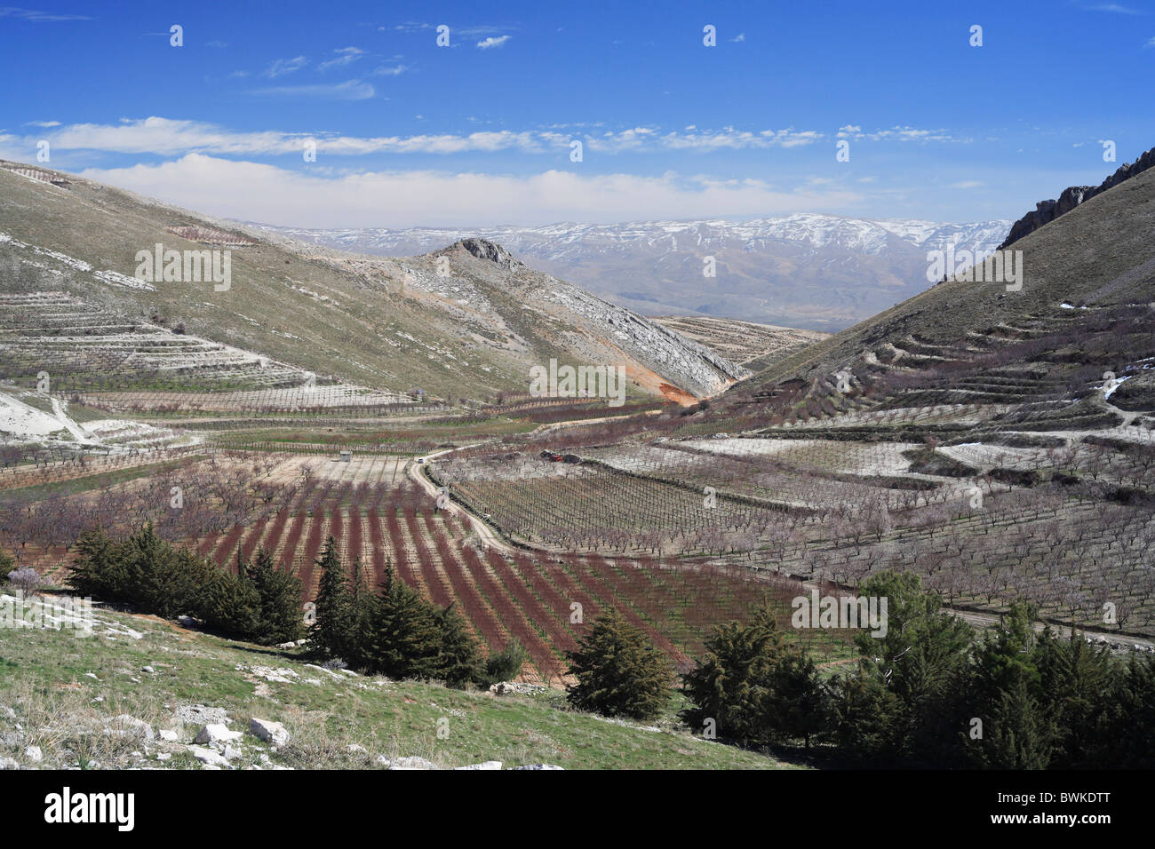 Niha hi-res stock photography and images - Alamy