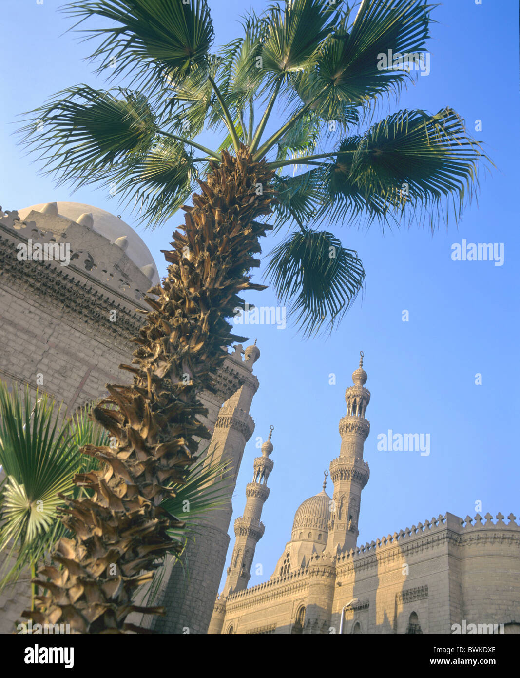 Egypt North Africa Cairo Al-Rifai mosque Salah el-Din Square palm Stock ...