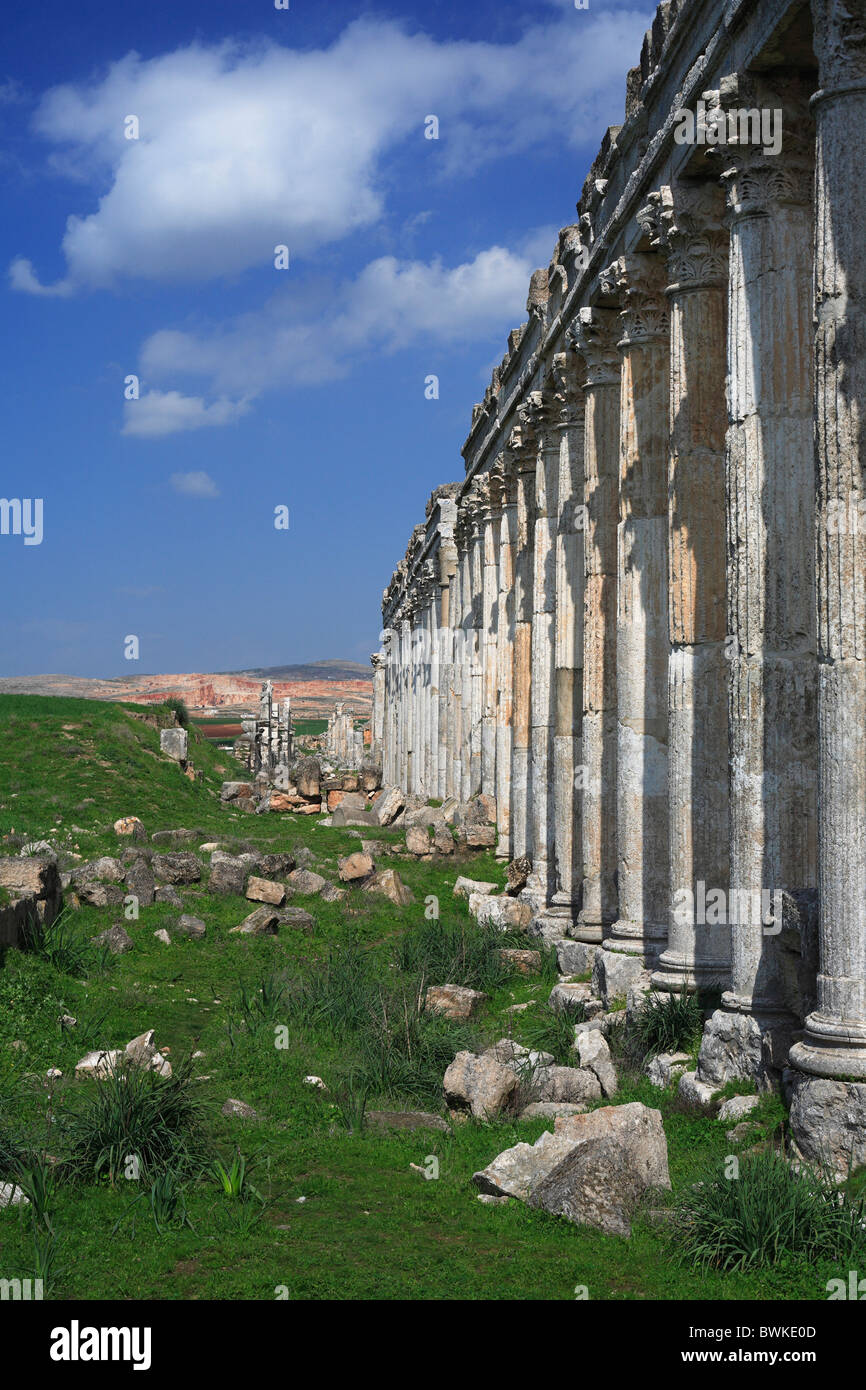 Apamea Apameia Roman Roman antiquity antique columns ruins Syria Middle ...
