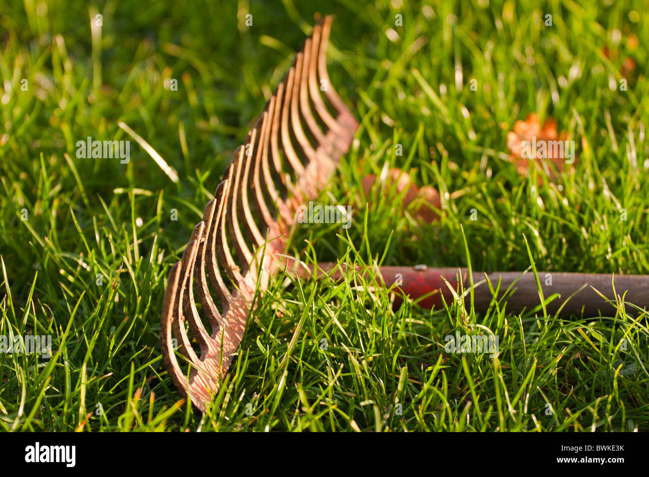 Detail of the iron rake in the grass Stock Photo - Alamy