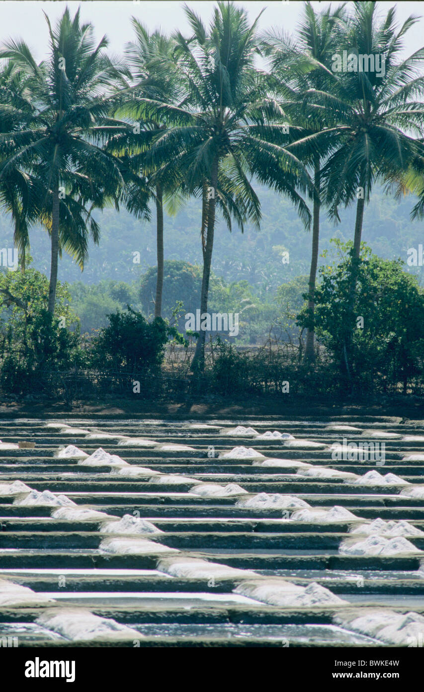 10829478 hi-res stock photography and images - Alamy