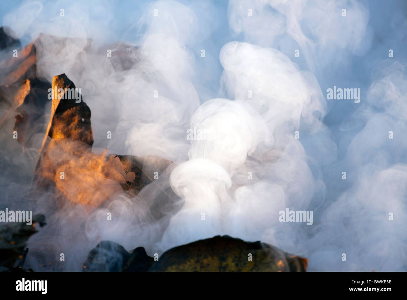 White smoke of the burning, wet, autumn leaves Stock Photo - Alamy