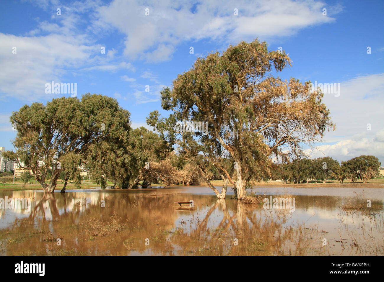 Israel, Sharon region, the rain pool in Netanya Stock Photo - Alamy