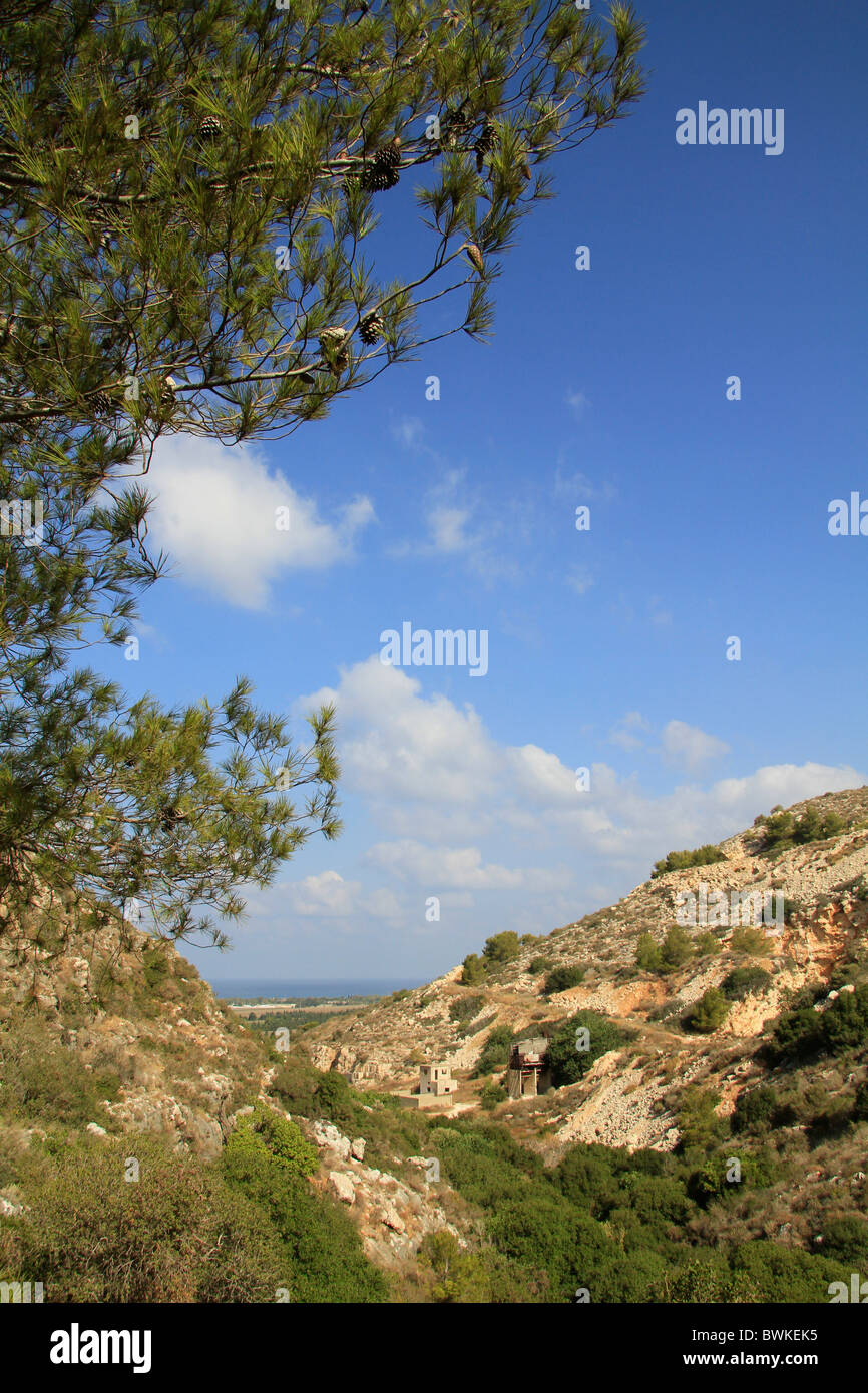 Nahal hi-res stock photography and images - Alamy