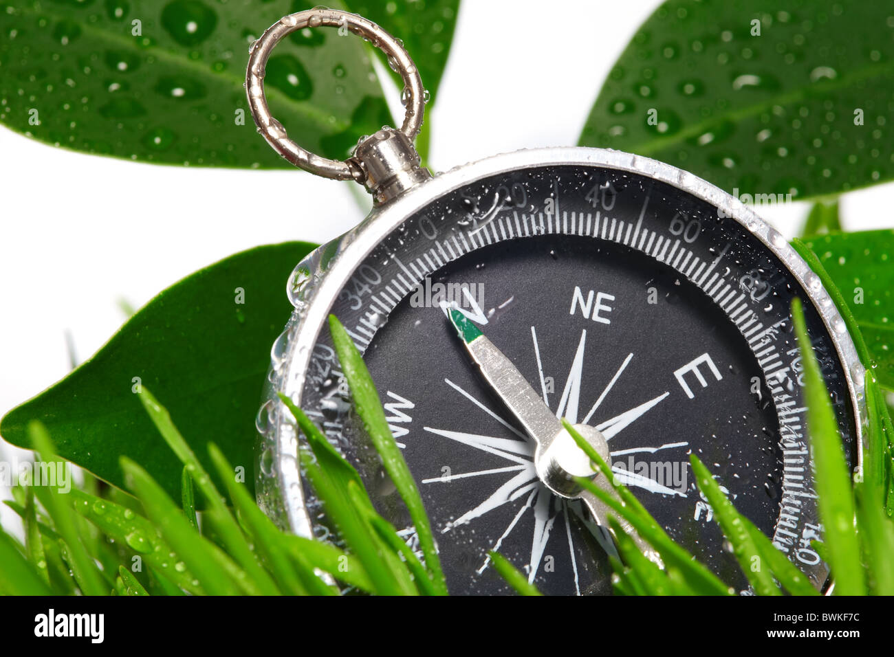 compass in green grass Stock Photo - Alamy