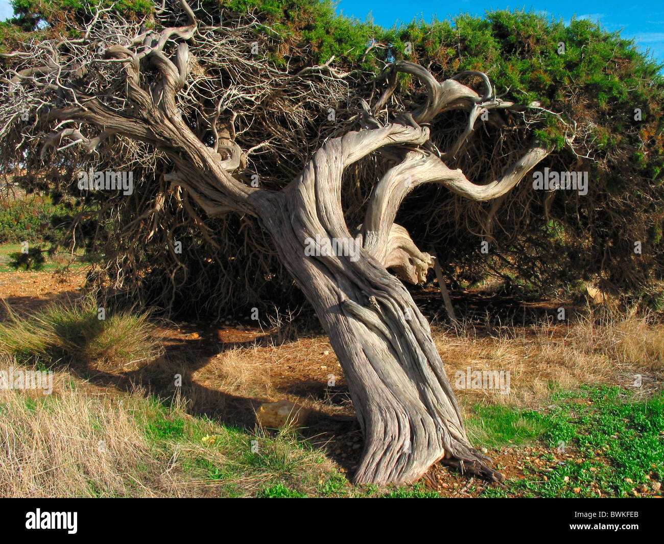 10829678 hi-res stock photography and images - Alamy