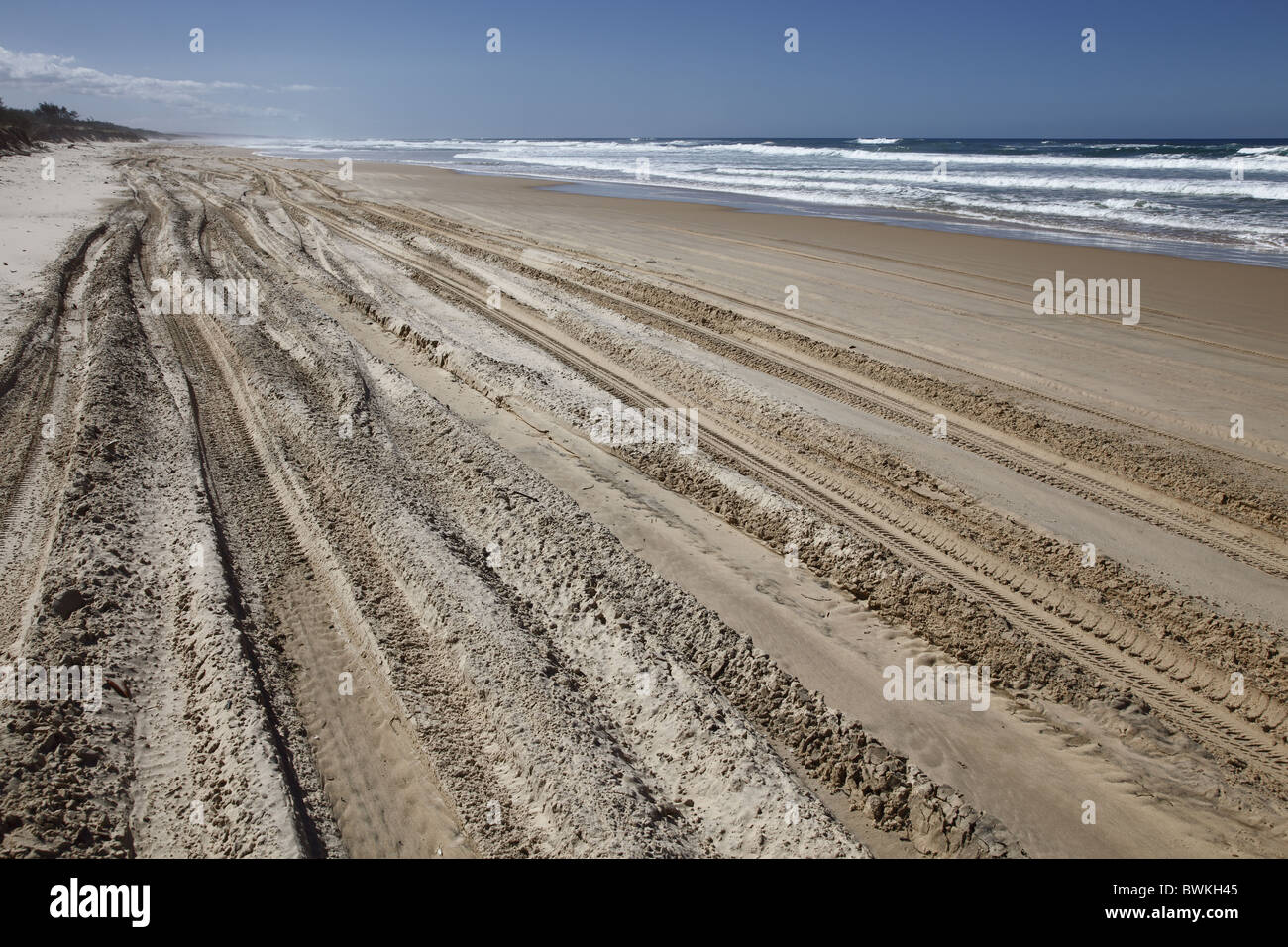 Australia, Queensland, Fraser Island, Tyre imprints on the Sandy Beach ...