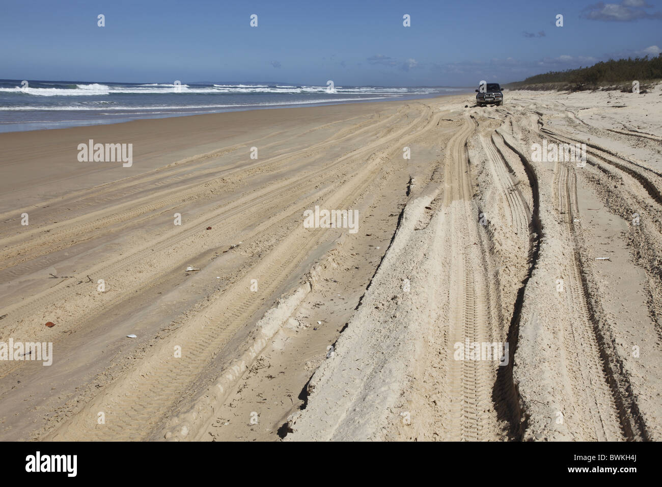 Australia, Queensland, Fraser Island, Tyre imprints on the Sandy Beach ...