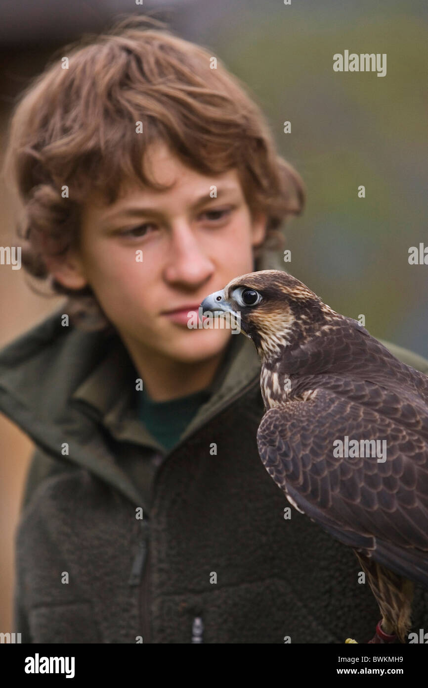 Hawks and humans hi-res stock photography and images - Alamy