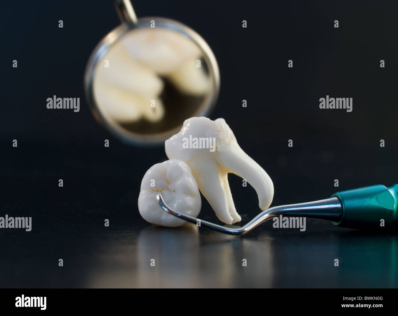 Real Human Wisdom teeth and Dental instruments Stock Photo - Alamy