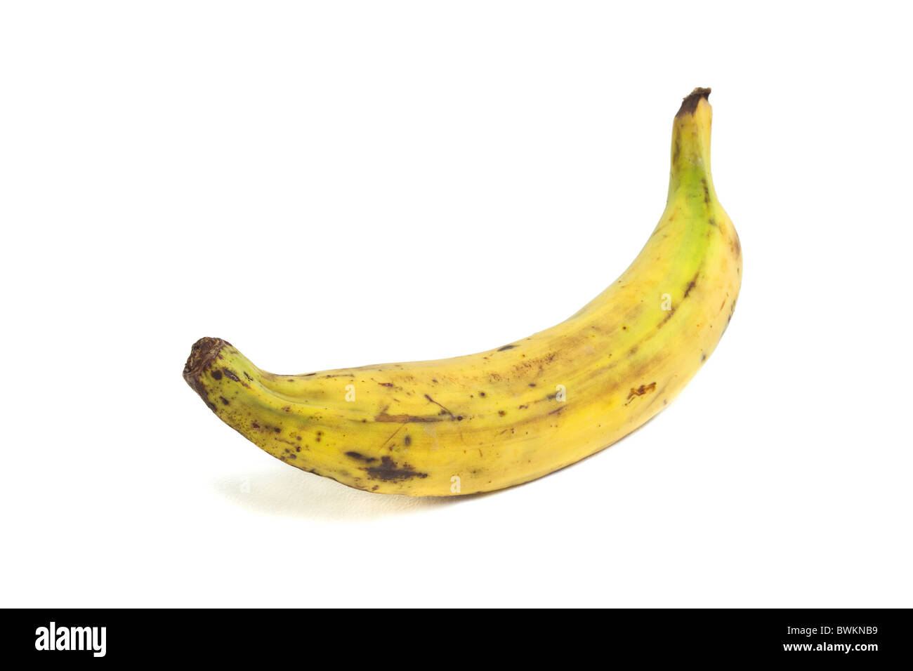 Single Plantain fruit from low perspective isolated on white Stock ...