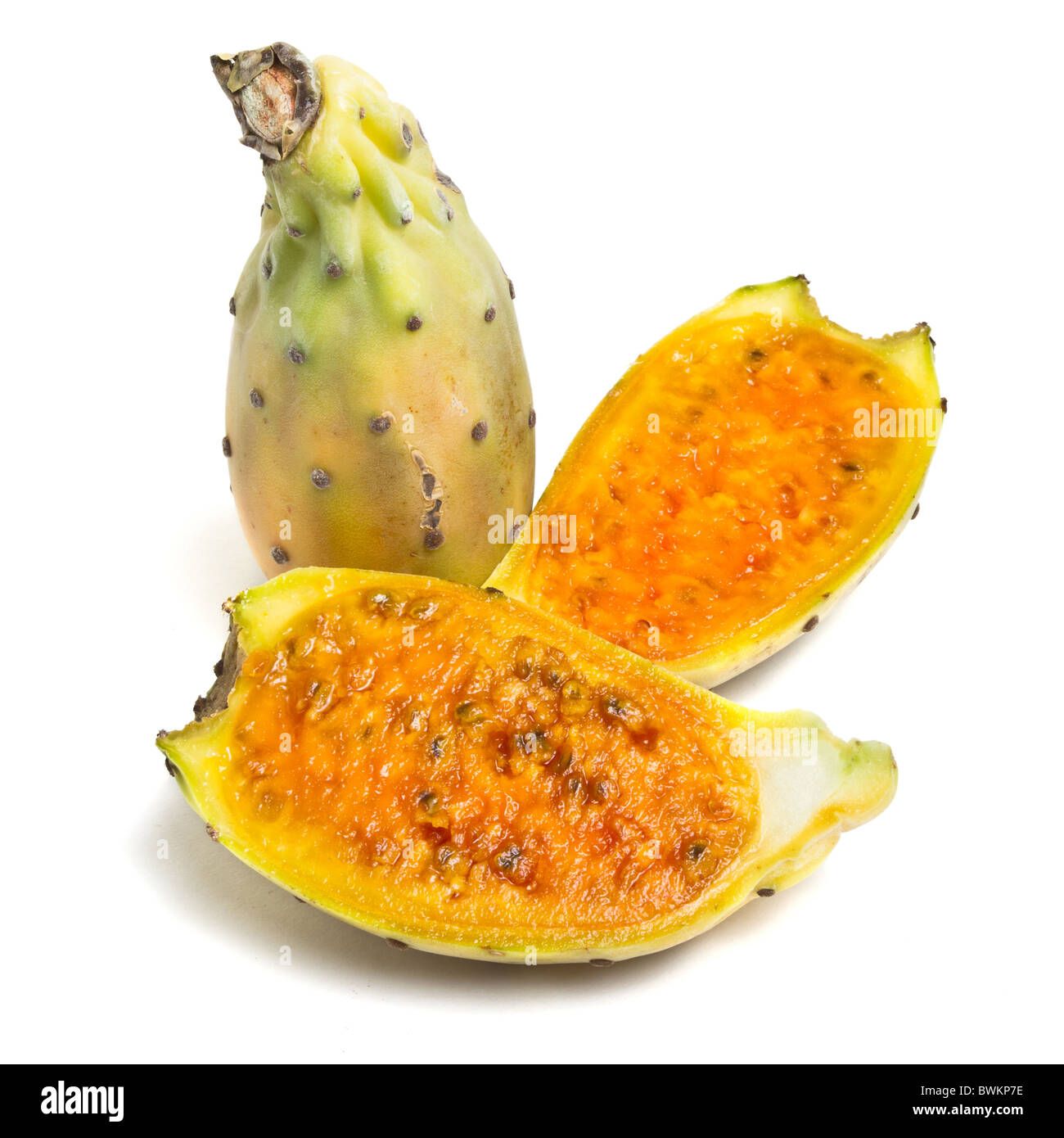 Prickly Pear from low perspective isolated on white background Stock ...