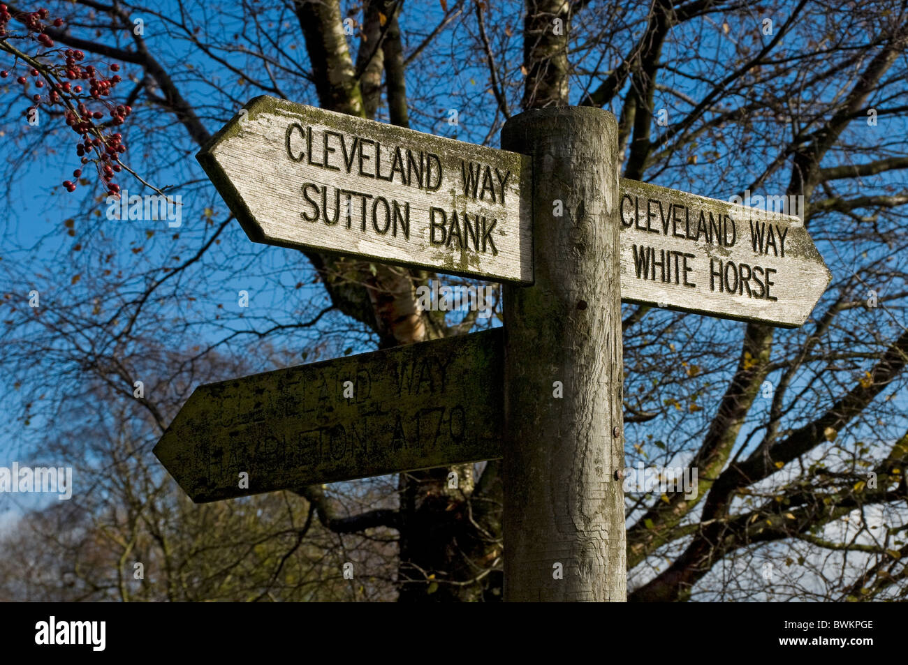 Close up of wooden footpath sign signpost on the Cleveland Way path ...