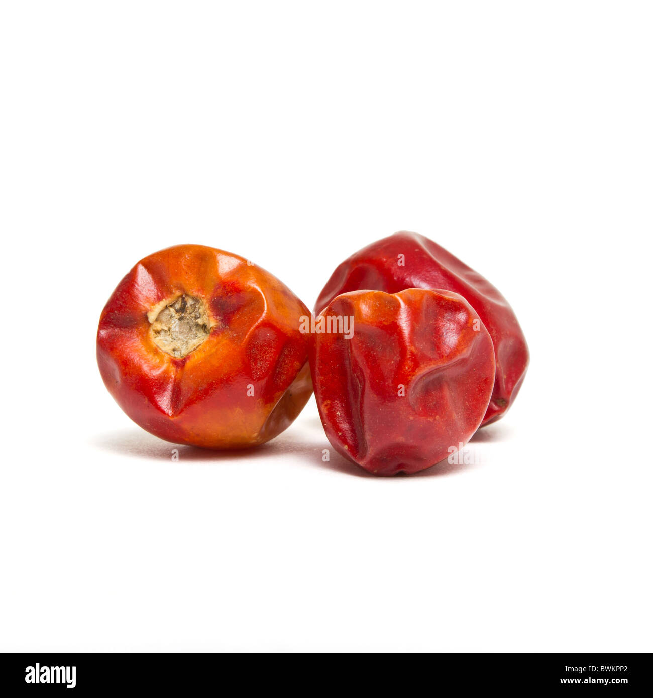 Dried whole round Chilli's from low perspective isolated on white Stock ...