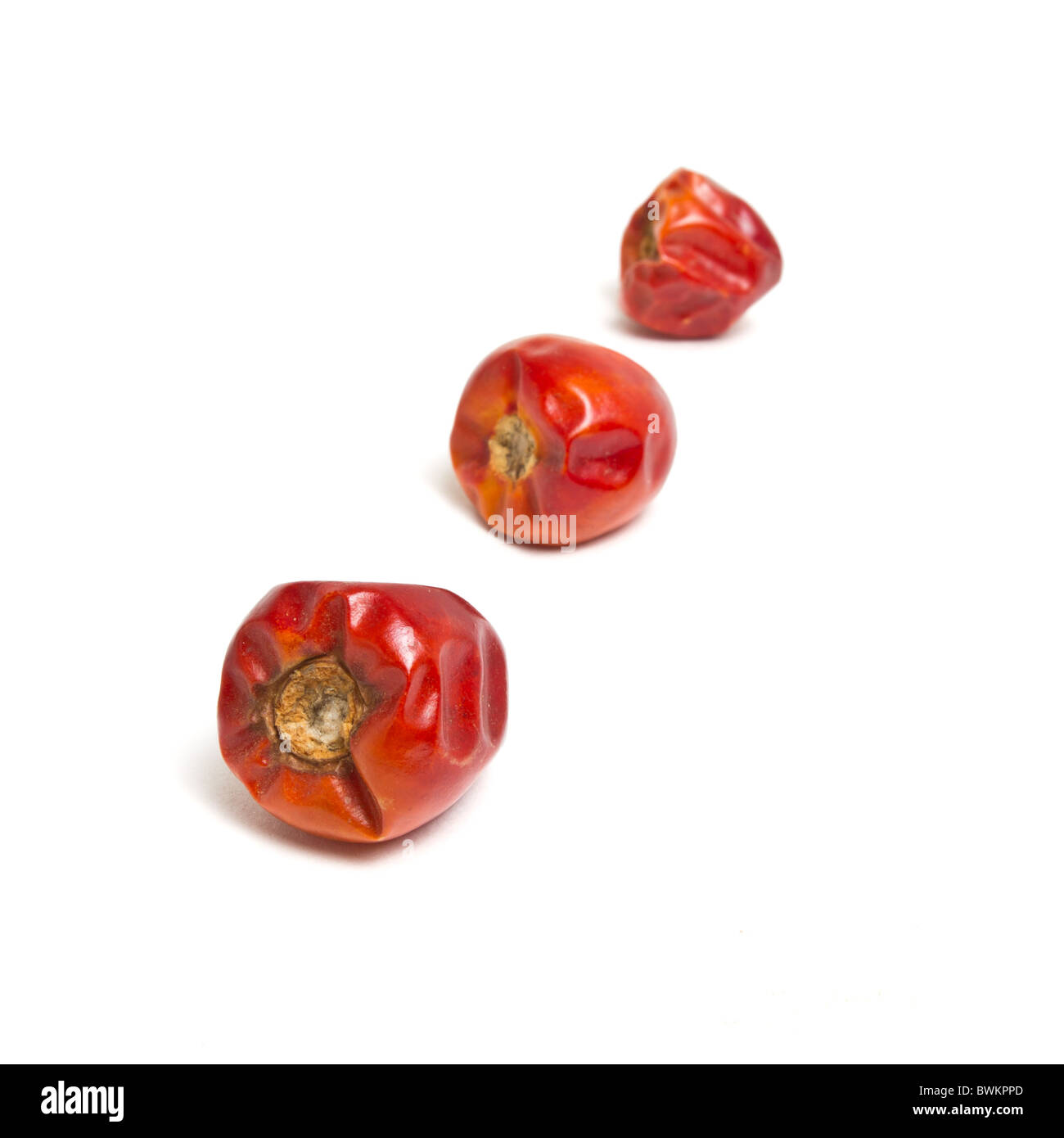 Dried whole round Chilli's from low perspective isolated on white Stock ...