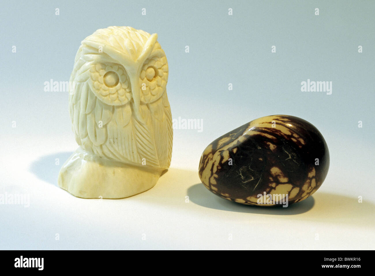 Ivory and vegetable ivory, the nut of the Ivory Palm (Phytelephas ...