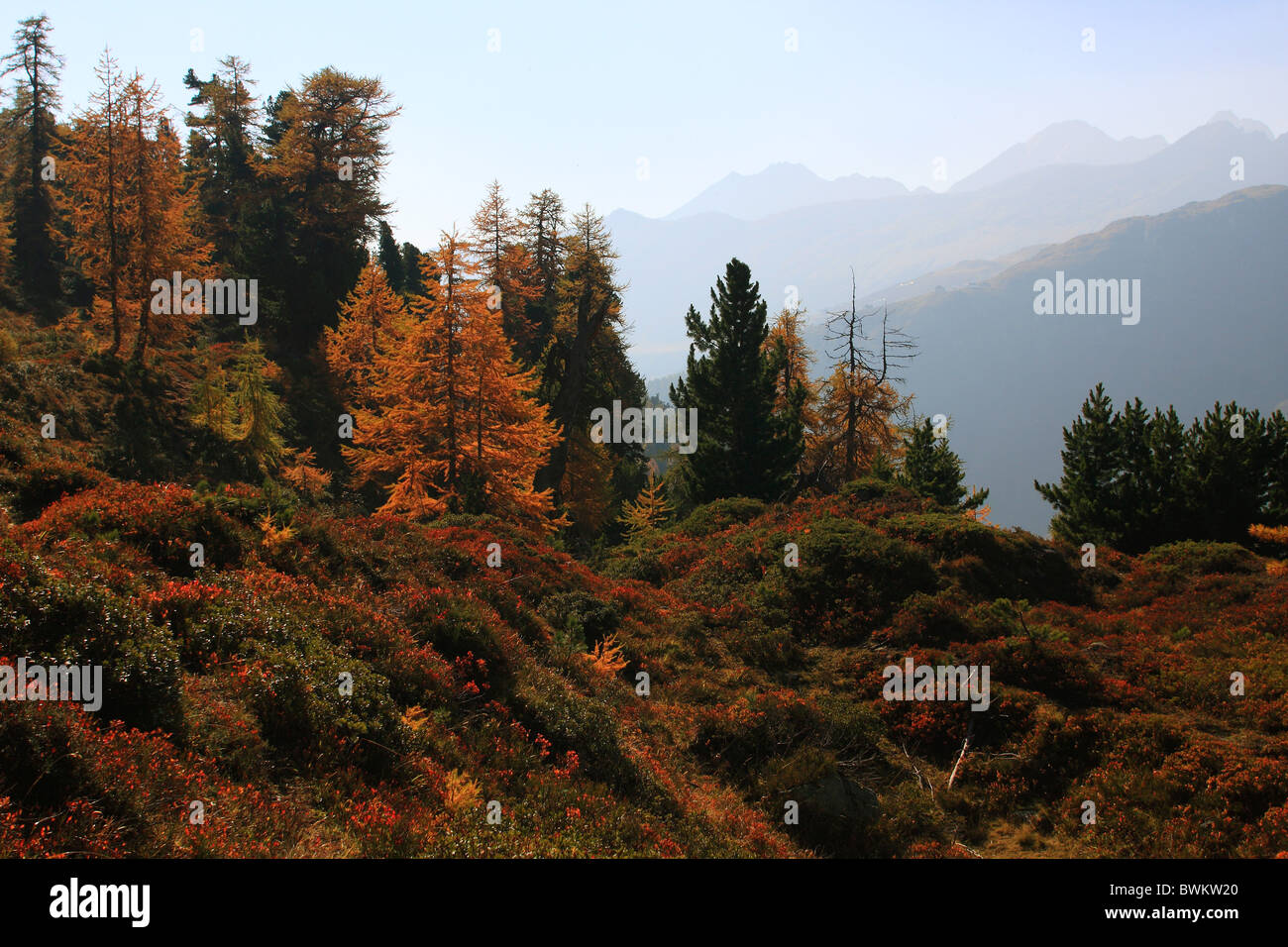 World Lar High Resolution Stock Photography and Images - Alamy