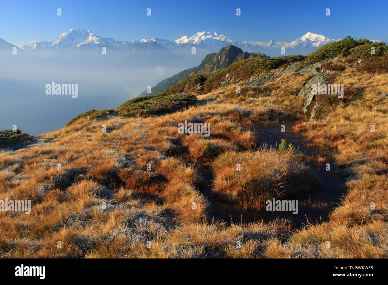 Switzerland Europe Aletsch area panorama swiss alps Weissmies ...