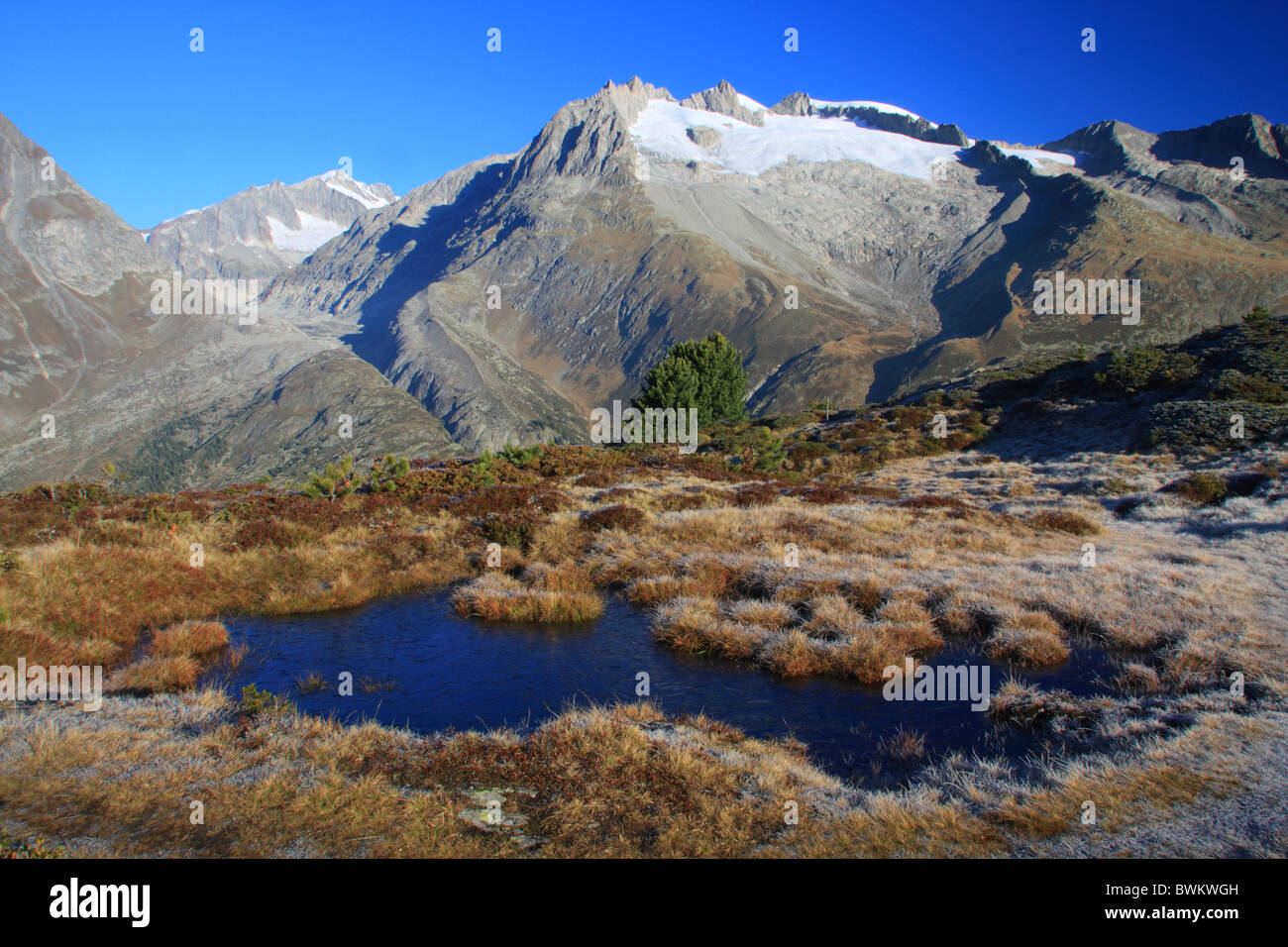 Switzerland Europe Aletsch area swiss alps Fusshorner Grosses Fusshorn ...