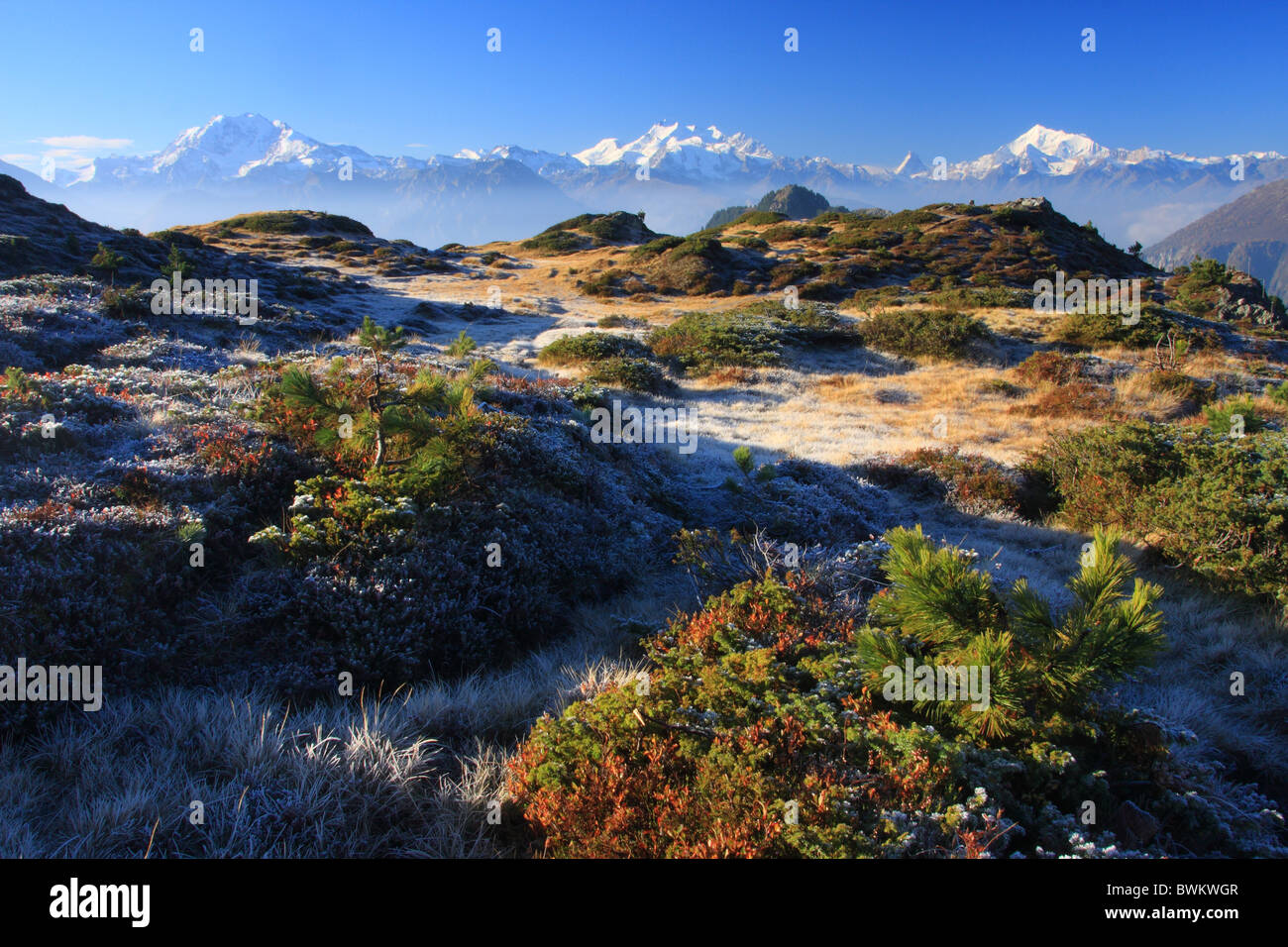 Switzerland Europe Aletsch area panorama swiss alps Weissmies ...