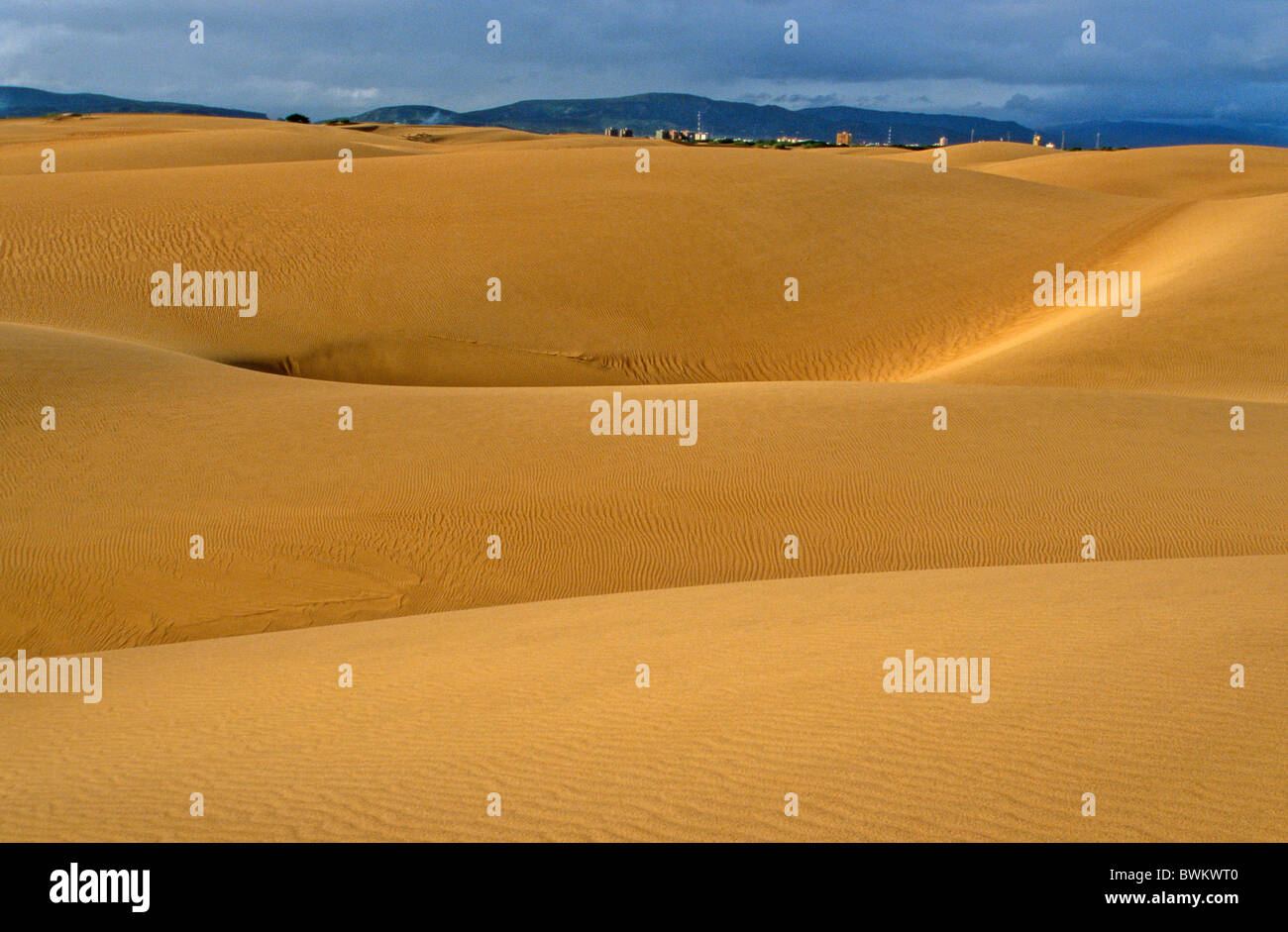 Venezuela South America Coro Parque Nacional Medanos De Coro Sand dunes ...