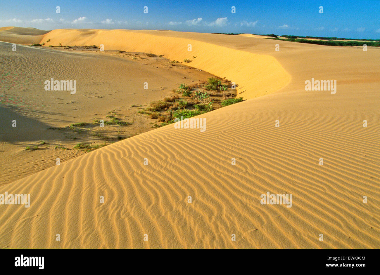 Venezuela South America Coro Parque Nacional Medanos De Coro Sand dunes ...