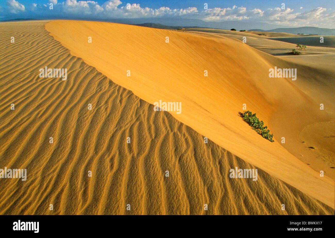 Medanos De Coro Venezuela
