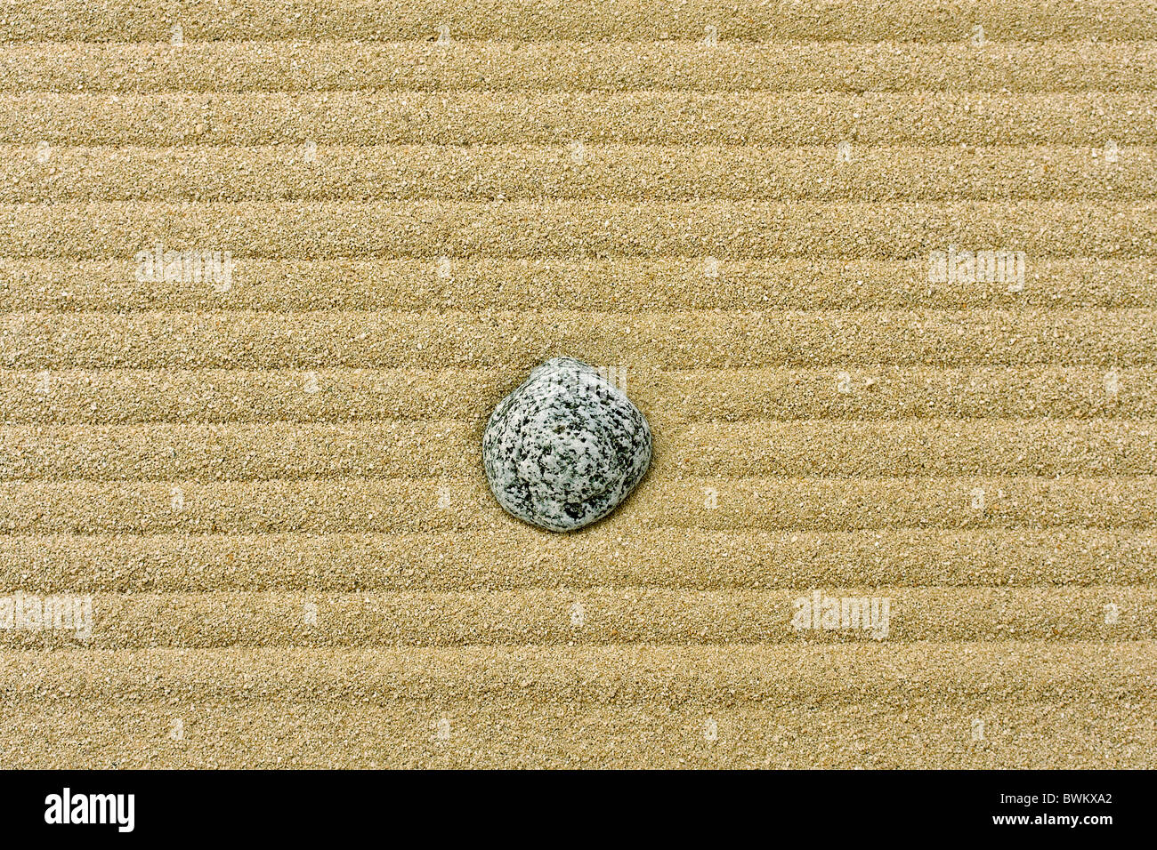 raked sand - zen rock garden - japan zen spirit inspired arrangement ...