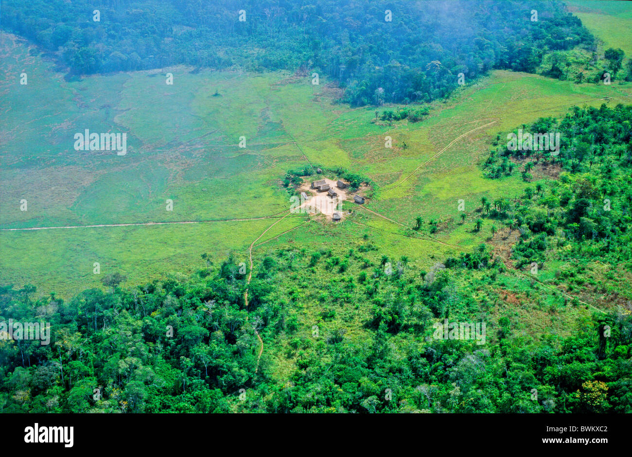 Venezuela South America Deforestation Little Village Rainforest Forest ...