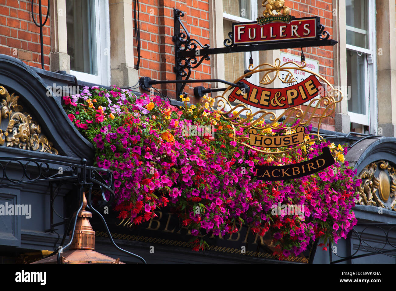 London pubs flowers hi-res stock photography and images - Alamy