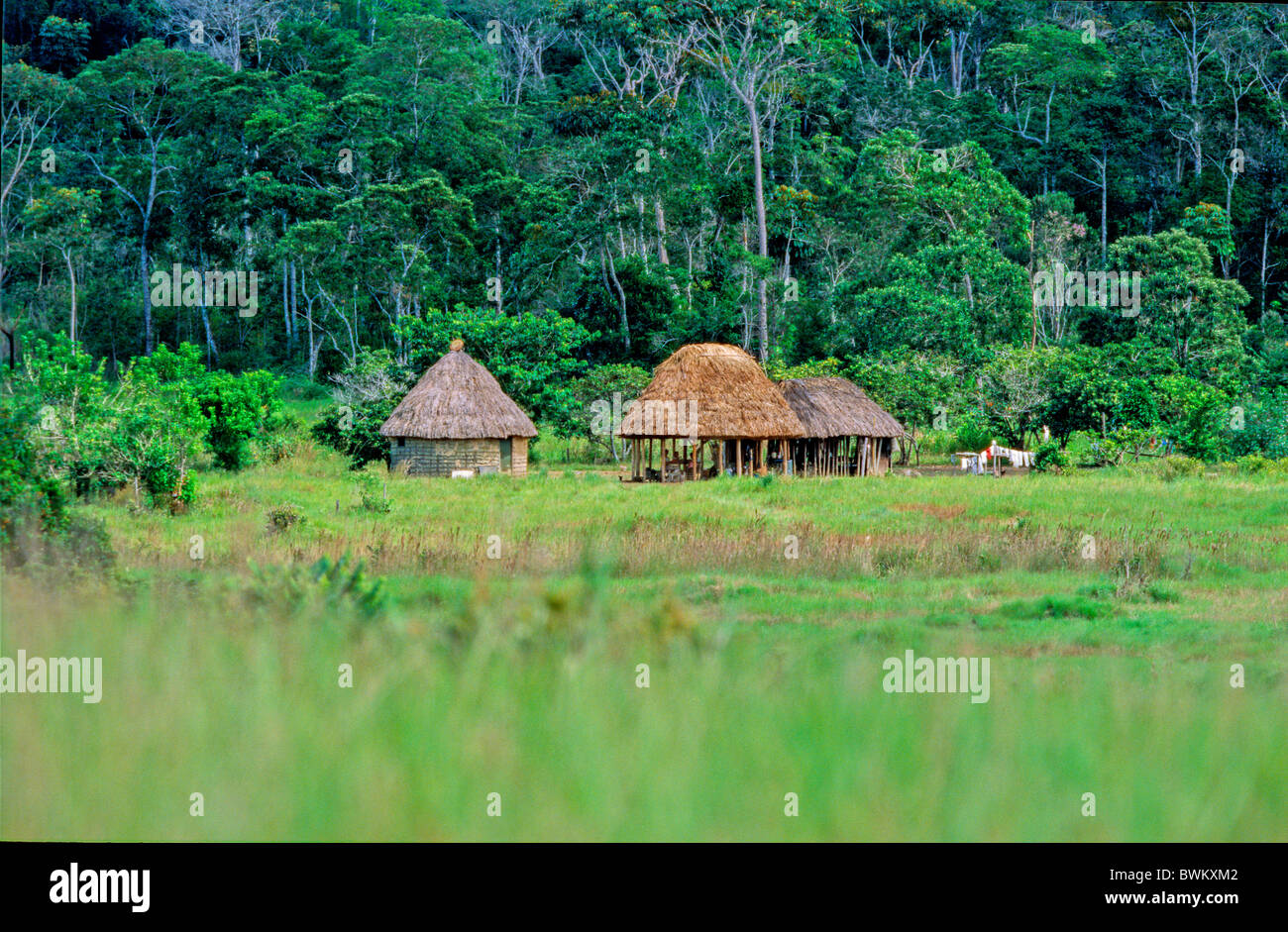 The natives of venezuela hi-res stock photography and images - Alamy