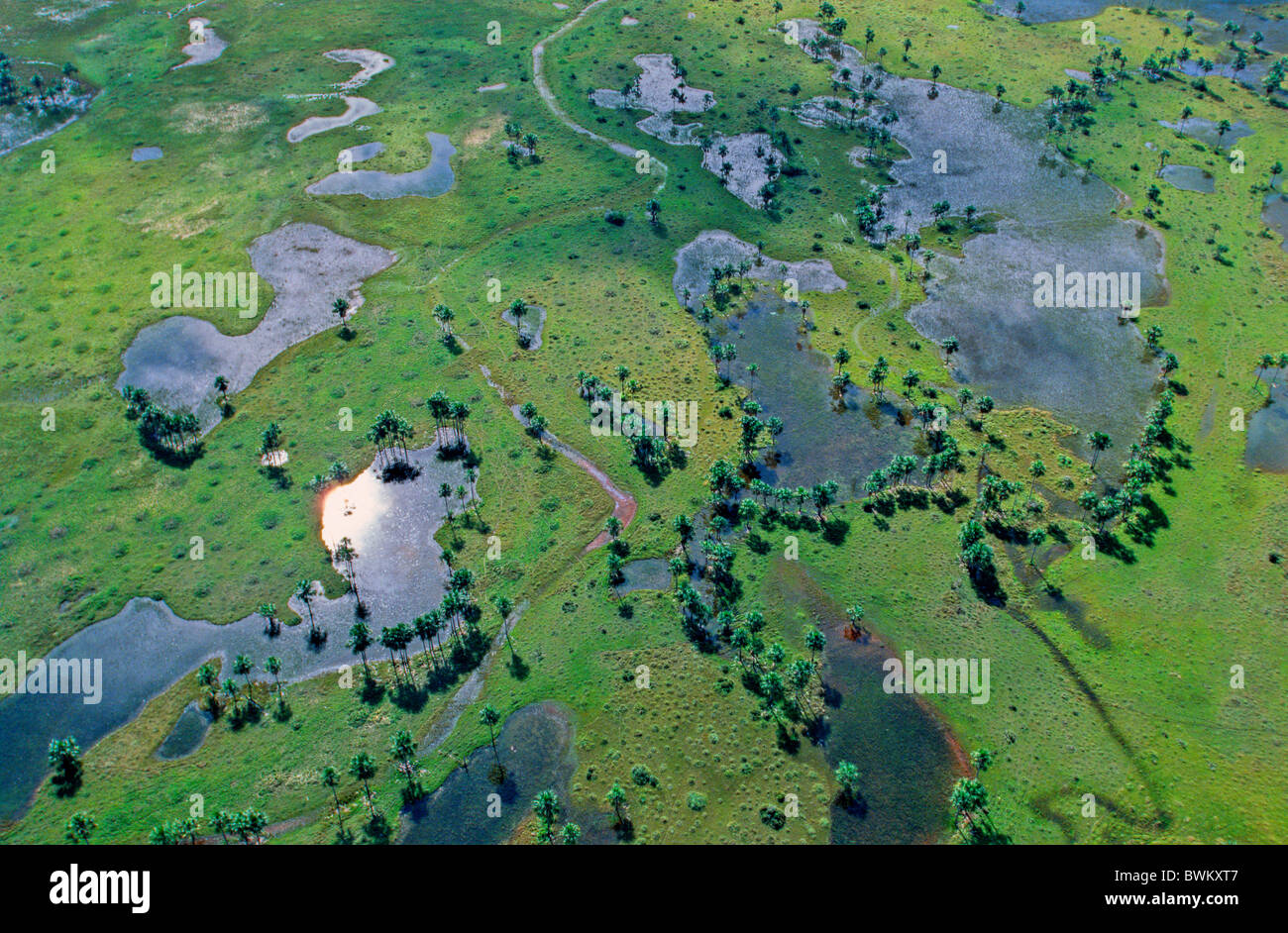 Venezuela South America La Gran Sabana Aerial view Swamp Water Tropical ...