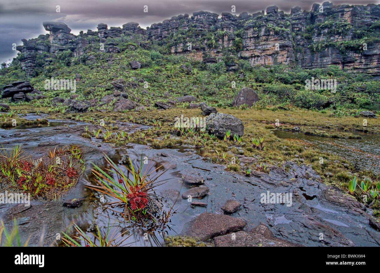 Venezuela South America Roraima Tepui Table mountain Mountains ...