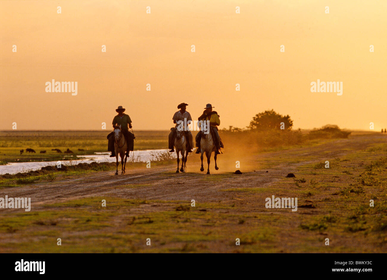 Venezuela South America Herdsmen Vaqueros Los Llanos Estado De Apure ...
