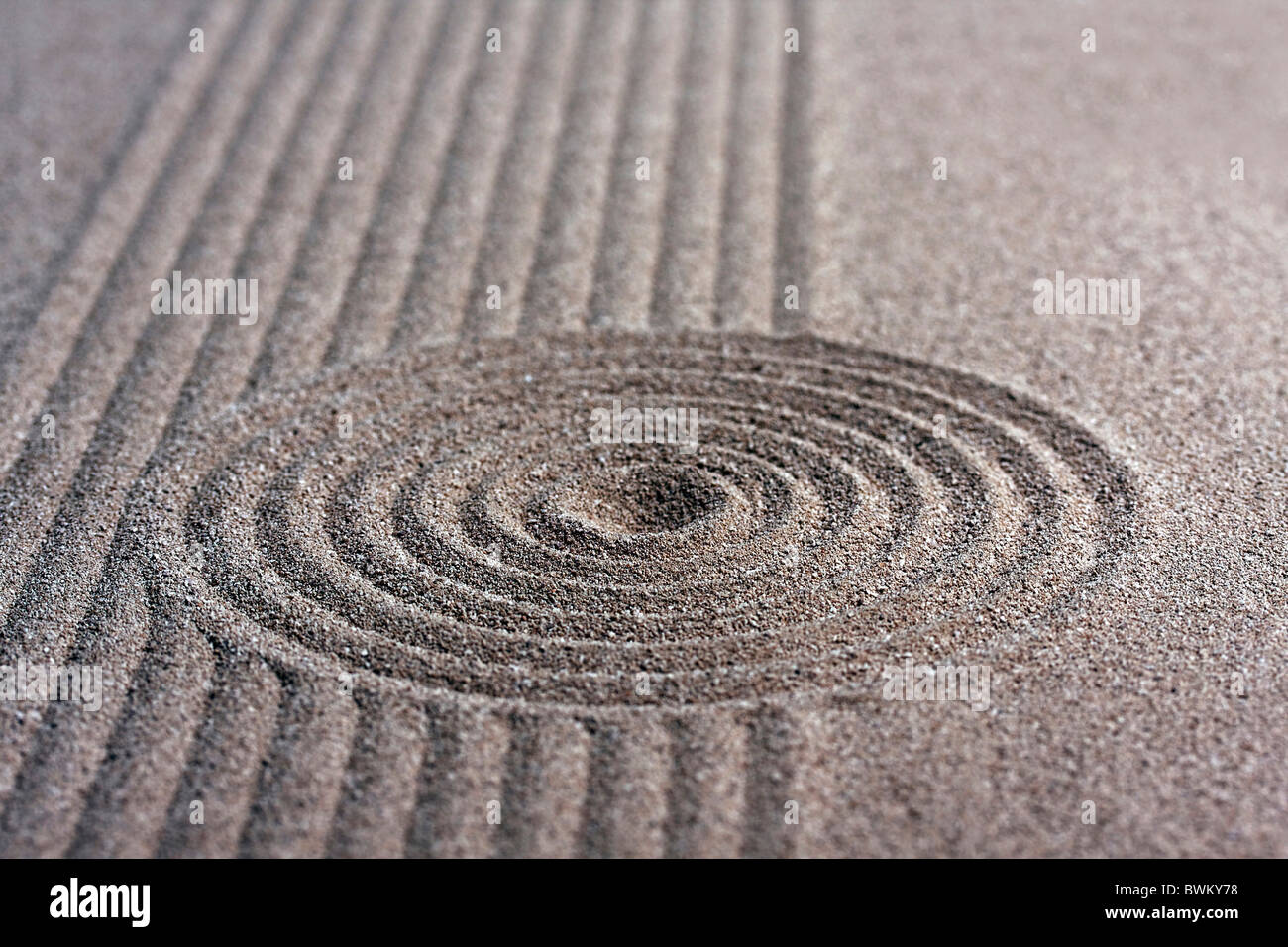 raked sand - zen rock garden - japan zen spirit inspired arrangement ...