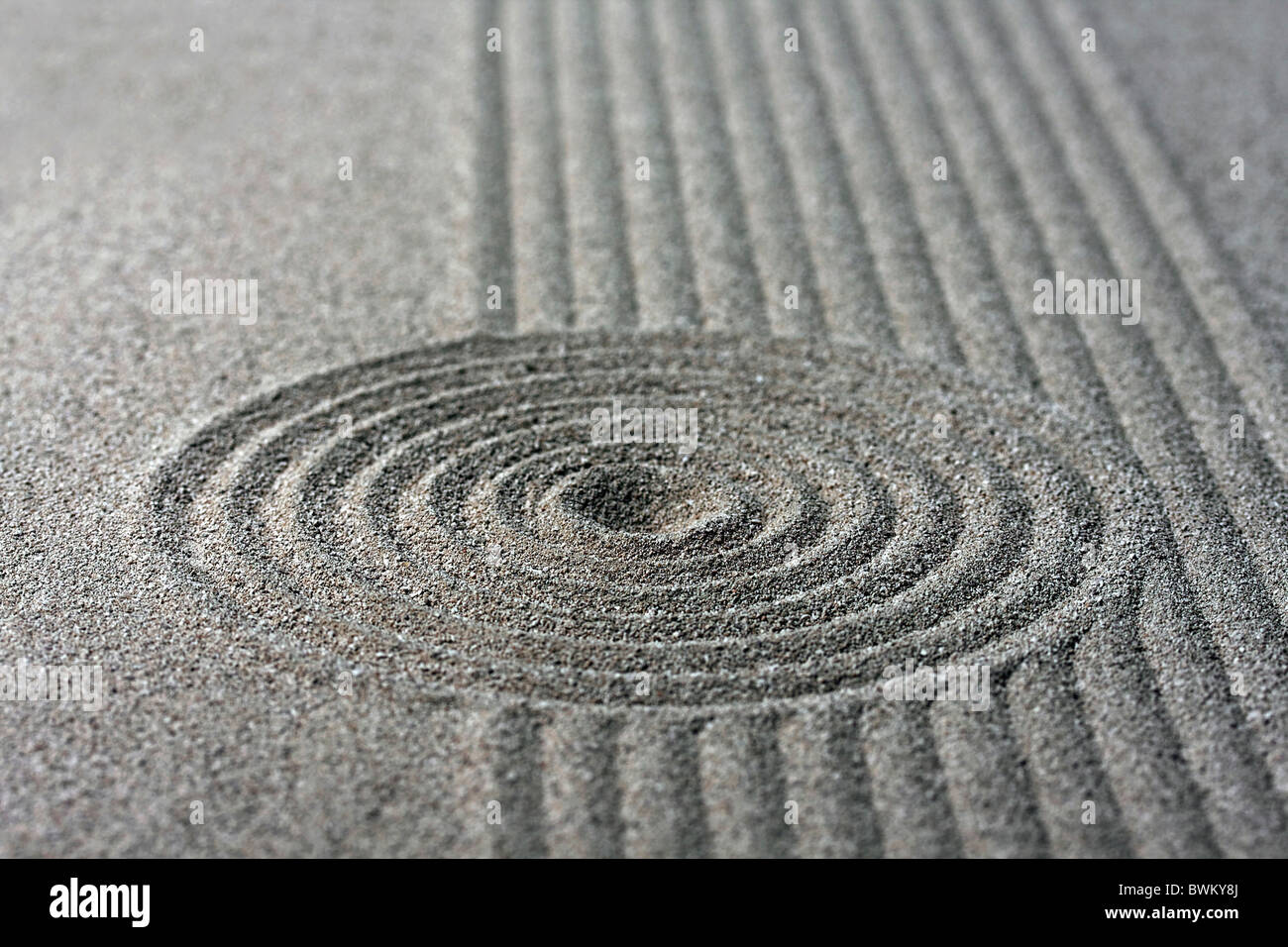raked sand - zen rock garden - japan zen spirit inspired arrangement ...