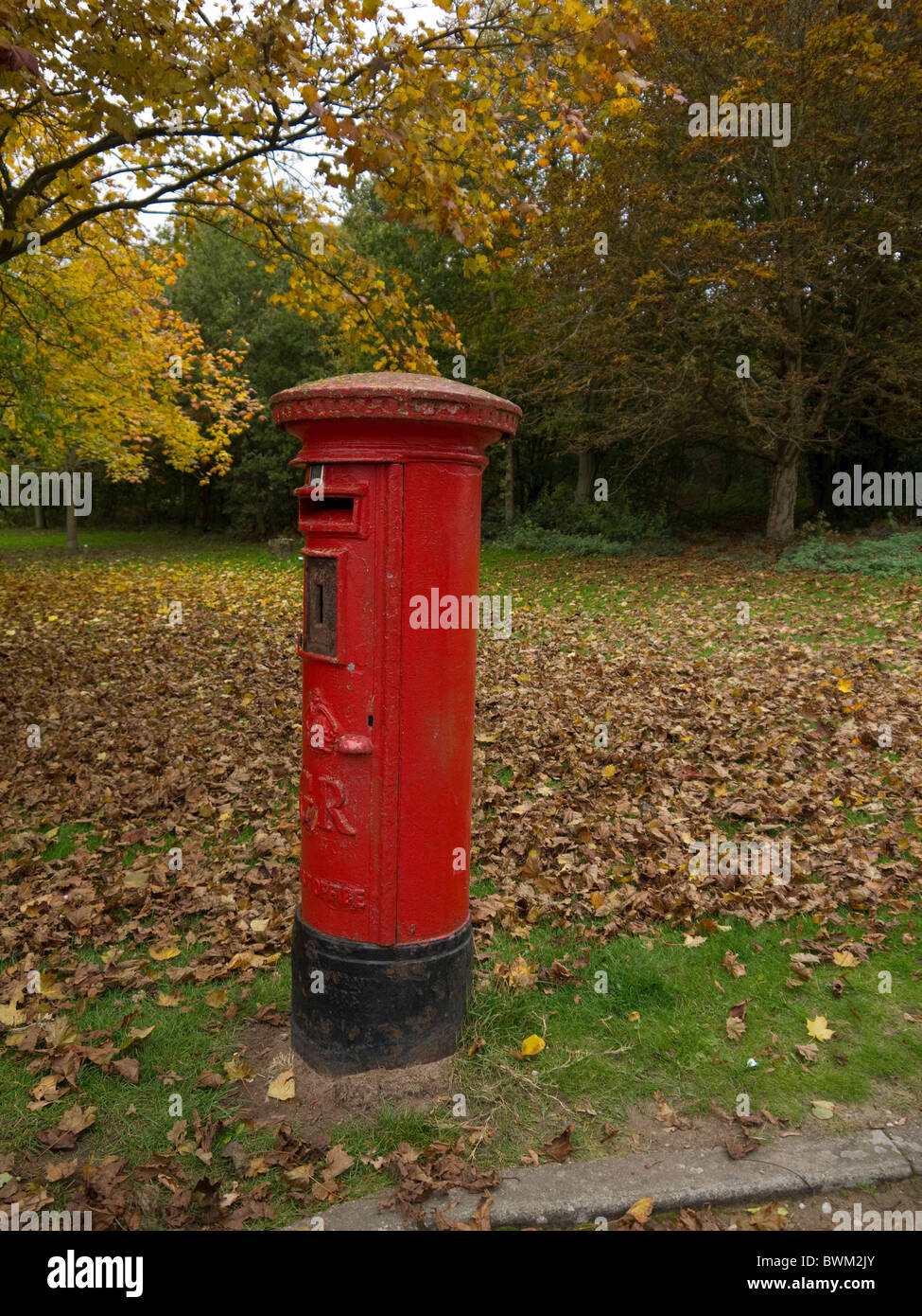 Rural postbox in among the shrubbery and trees Stock Photo - Alamy