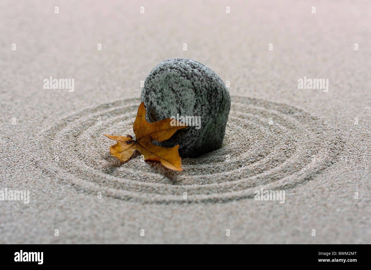 raked sand - zen rock garden - japan zen spirit inspired arrangement ...