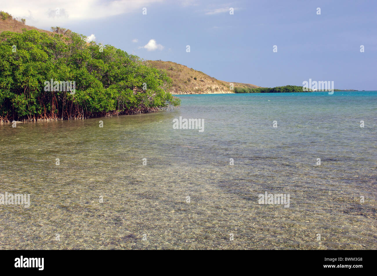 Puerto Rico Reserva Natural la Parguera Parguera Southcoast Caribbean ...