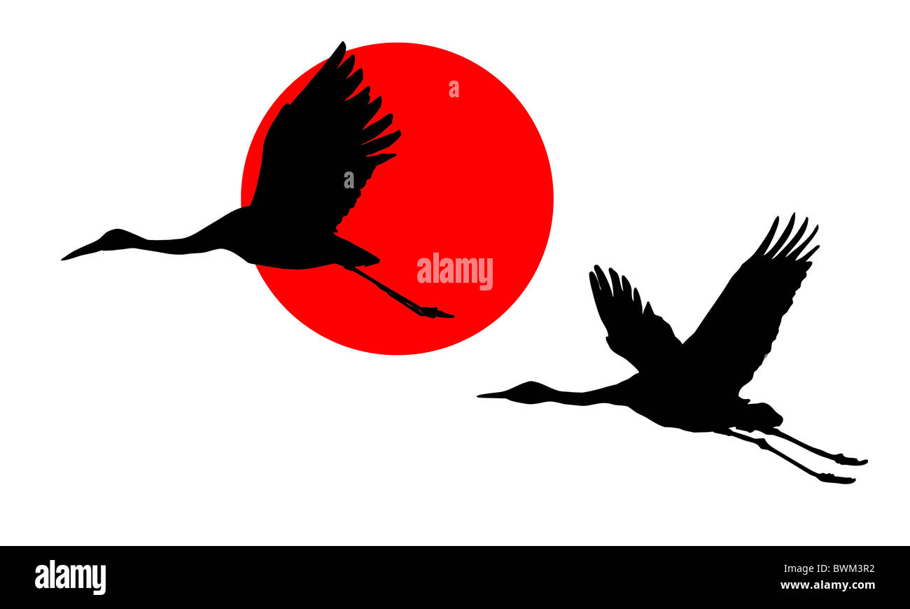 Sun Crane Sketch