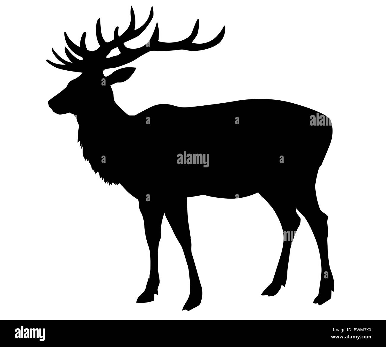 vector silhouette deer on white background Stock Photo - Alamy