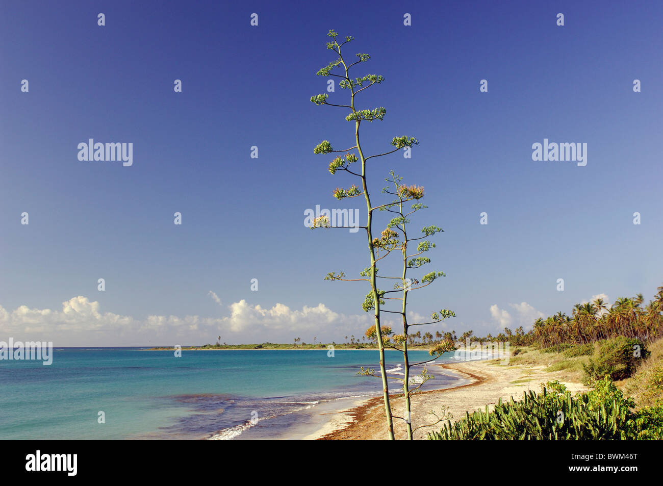 Puerto Rico Playa Cana Gorda Beach Guanica Biosphere Reserve Southcoast ...
