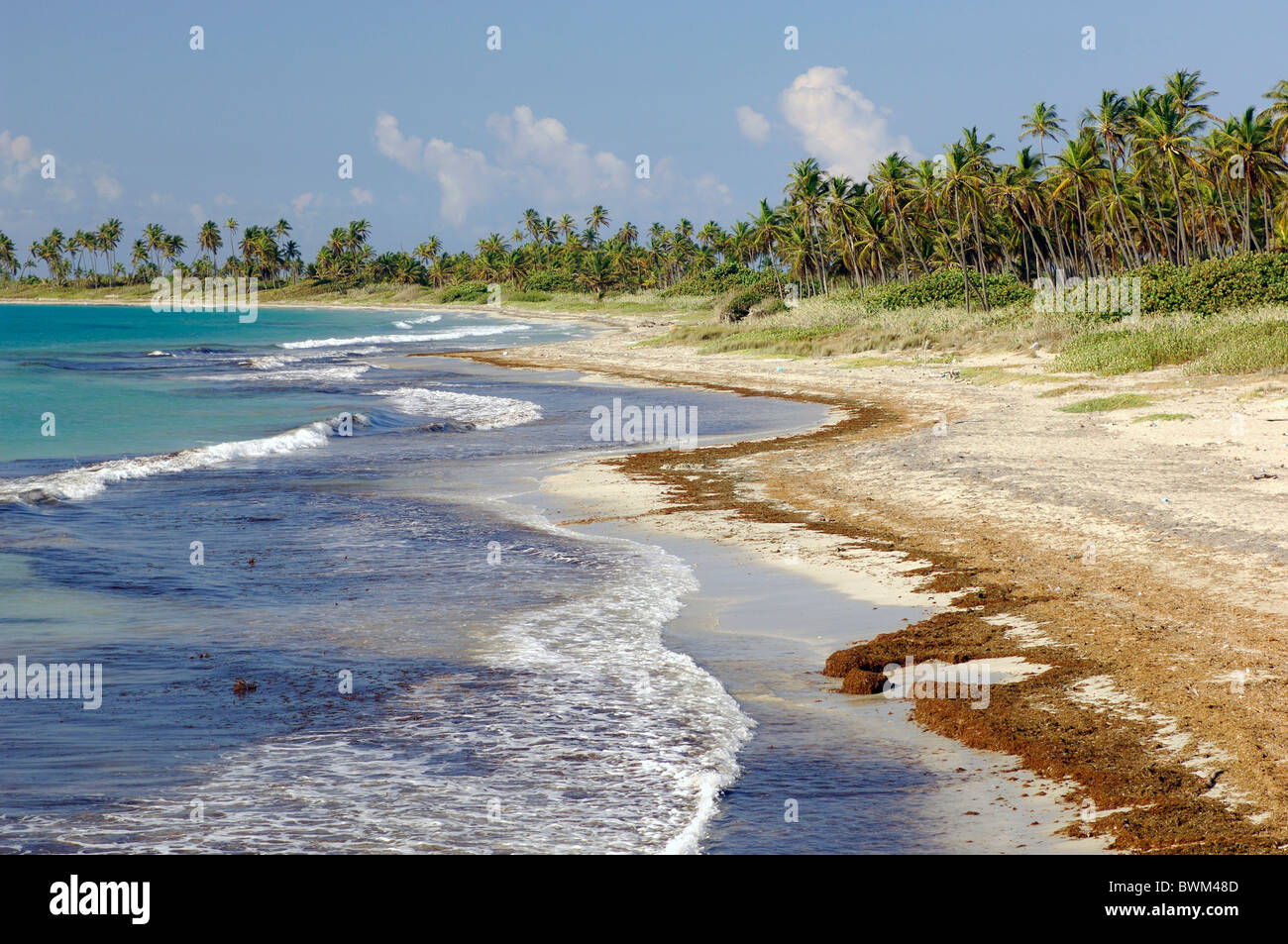 Puerto Rico Playa Cana Gorda Beach Guanica Biosphere Reserve Southcoast ...