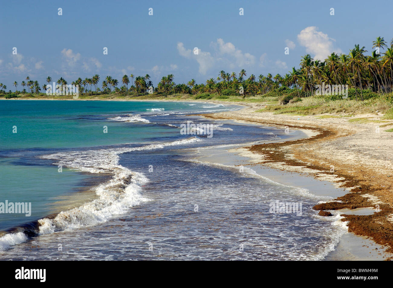 Puerto rico playa cana gorda hi-res stock photography and images - Alamy
