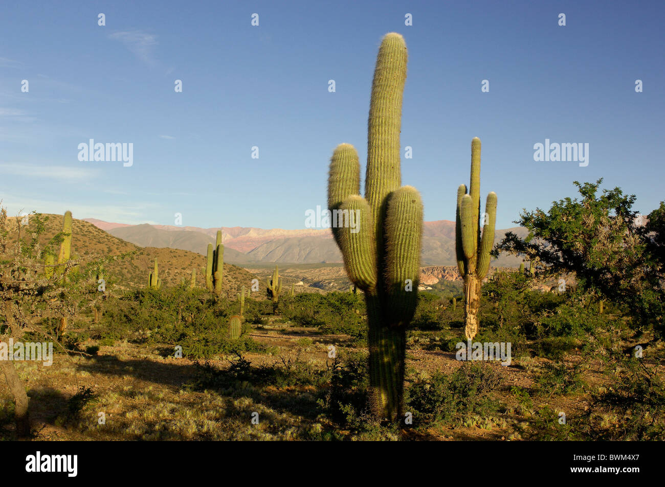 Argentina South America near Humahuaca Jujuy South America Landscape ...
