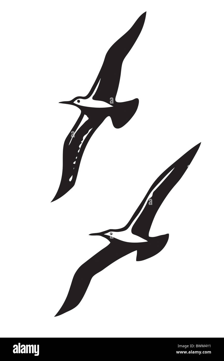Seagoing birds Cut Out Stock Images & Pictures - Alamy