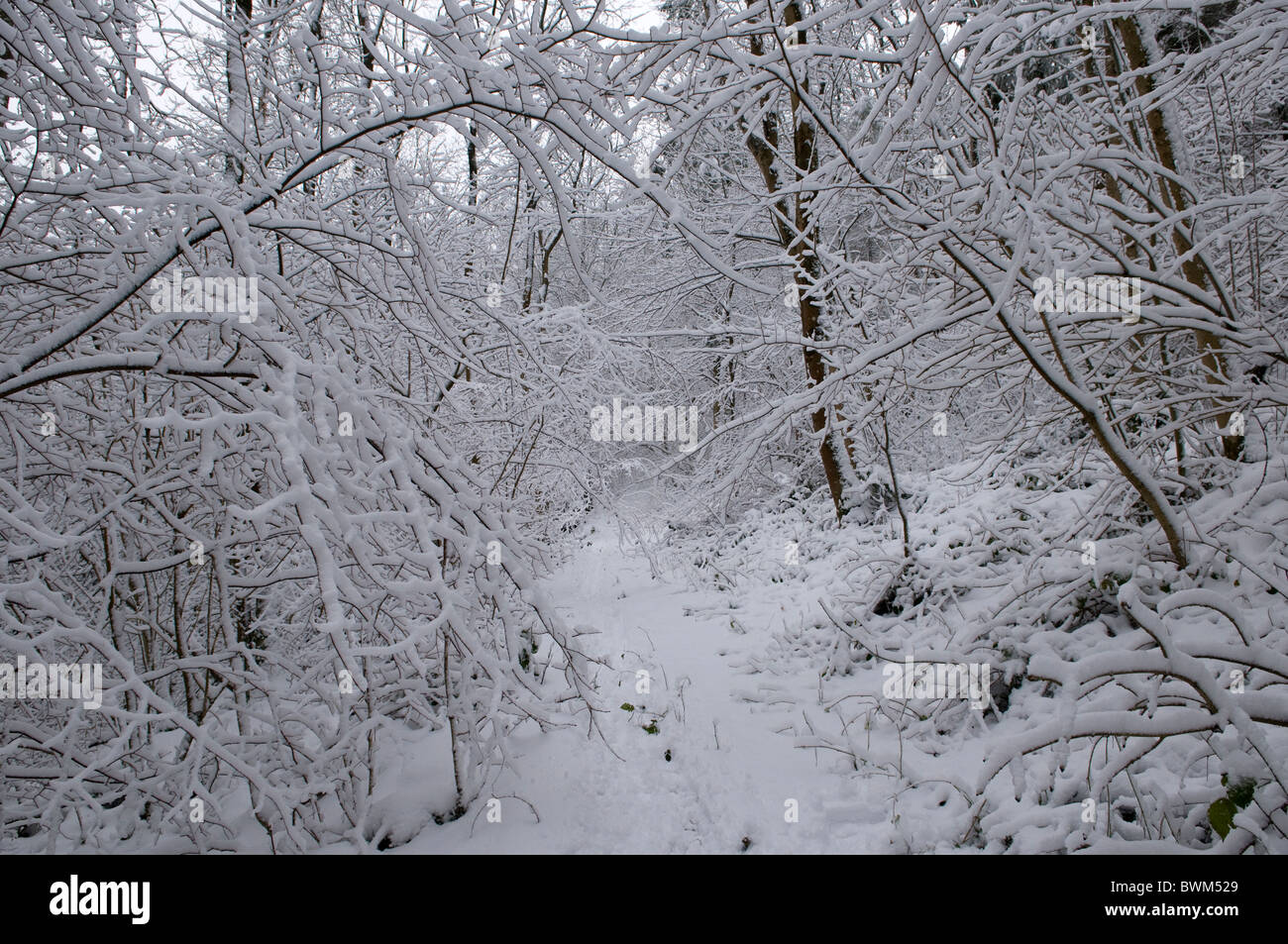 Covered pathway hi-res stock photography and images - Alamy